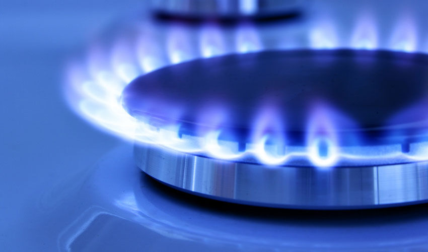 Businesses to Receive Free Guidance on Tax Obligations