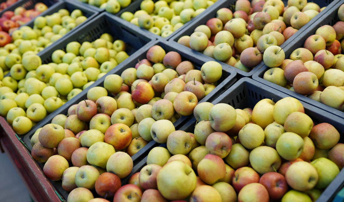 Switzerland Seen as Premium Market for Moldovan Fruits