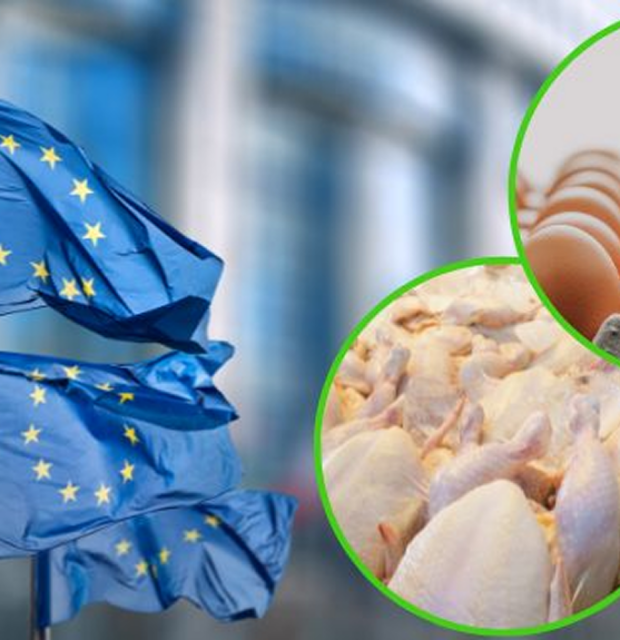 Interreg NEXT Black Sea Basin Program Discussed in Chișinău