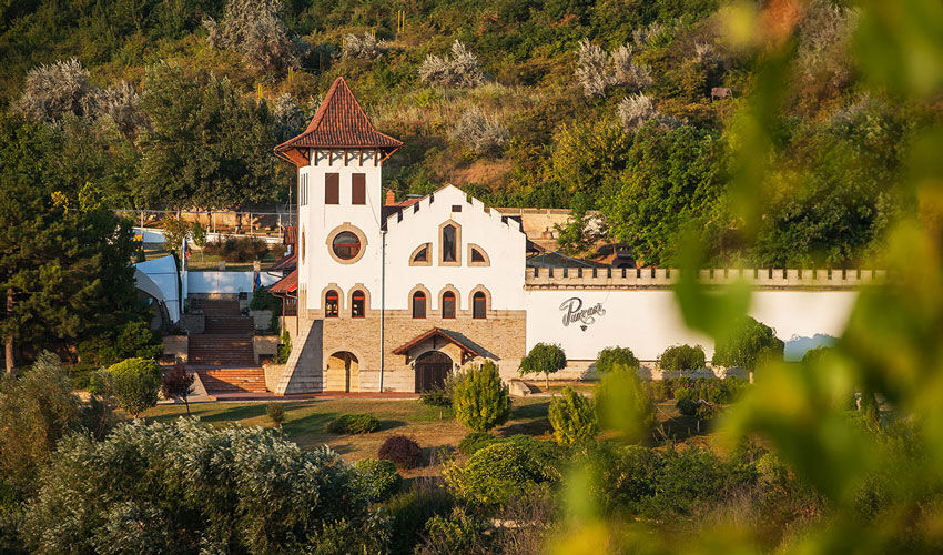 Maspex România gained control of Purcari Wineries - logos-pres.md